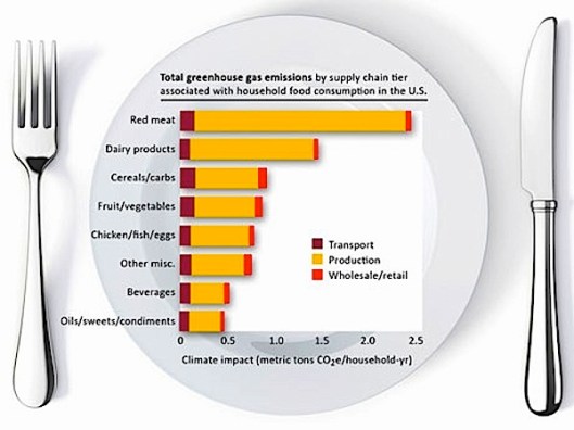 ‘Peak Meat’ and Other Threats to the World’s Food Supply | Collapse of ...